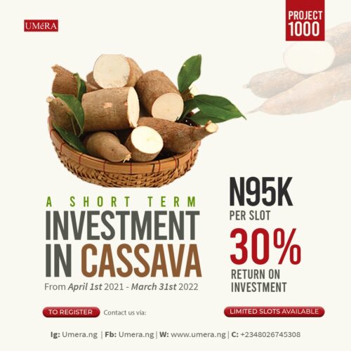 Umera Project 1000 - Umera