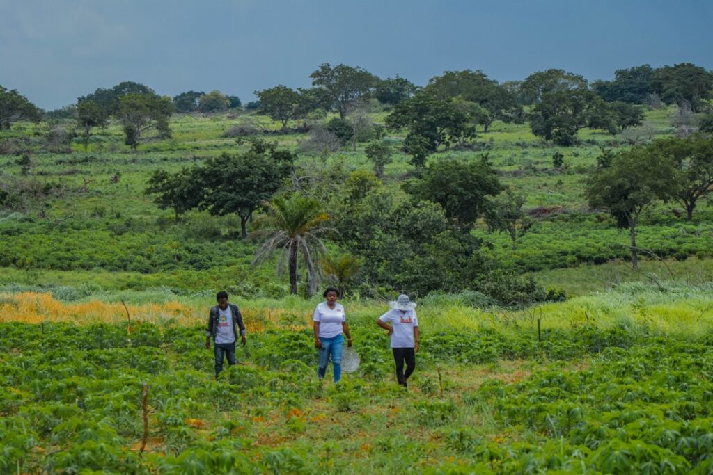 Umera – BUY. OWN. EARN